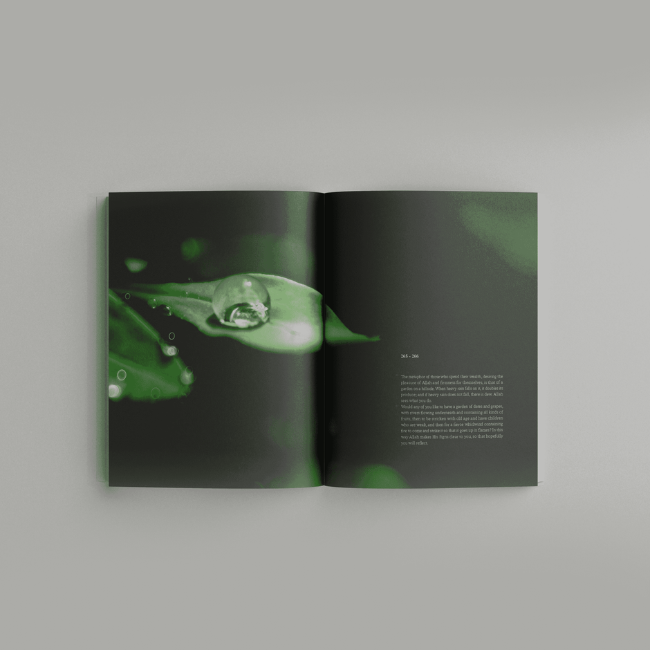 The Message – Quwa Co